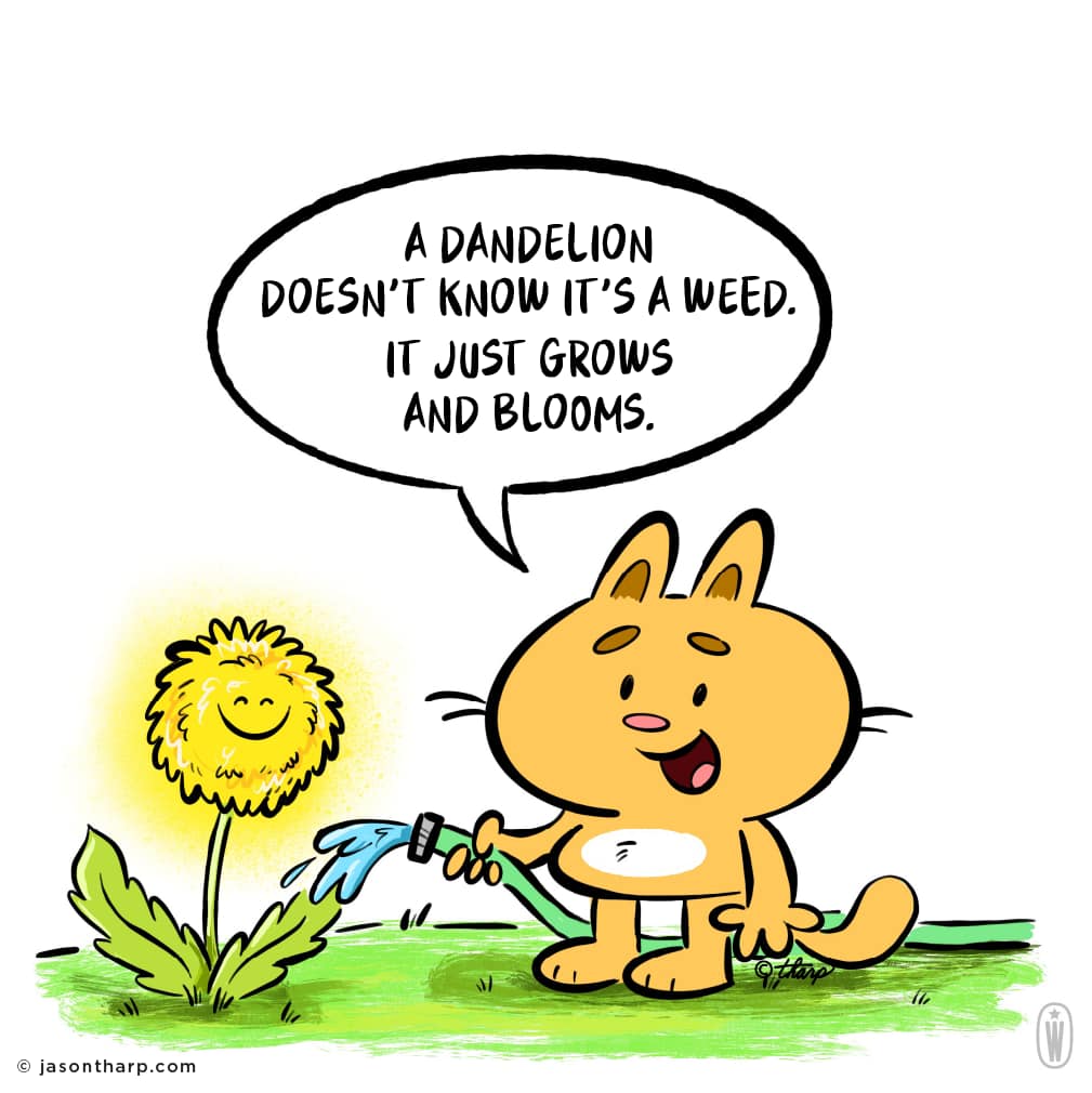 Shedding Labels, Embracing Wonder: A Leap Towards Authentic Self